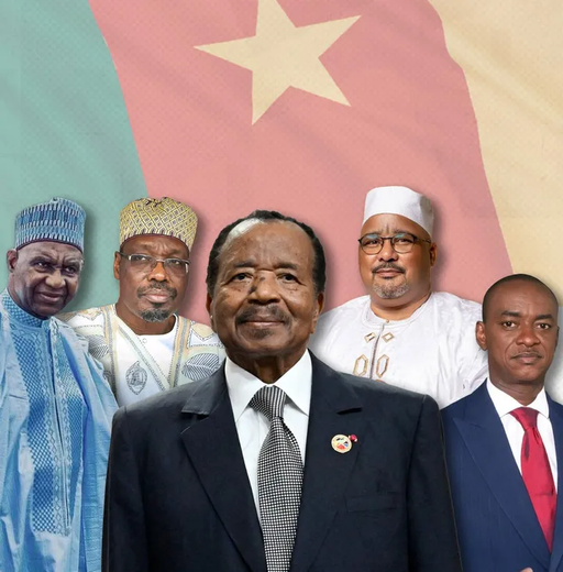 Élection au Cameroun : la vieille garde s'accroche face à une jeunesse ...