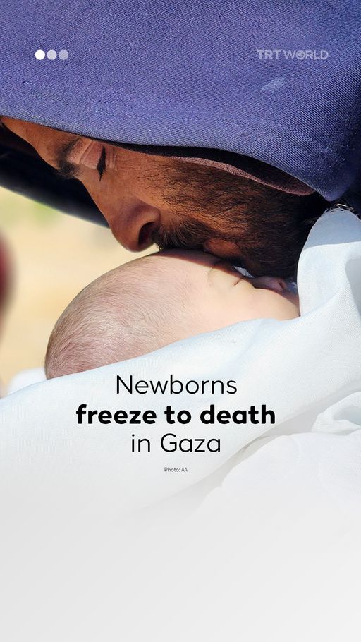 Newborns freeze to death in Gaza - TRT World