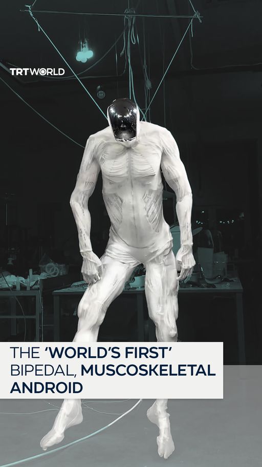 Robotics company unveils ‘world’s first’ bipedal, musculoskeletal ...