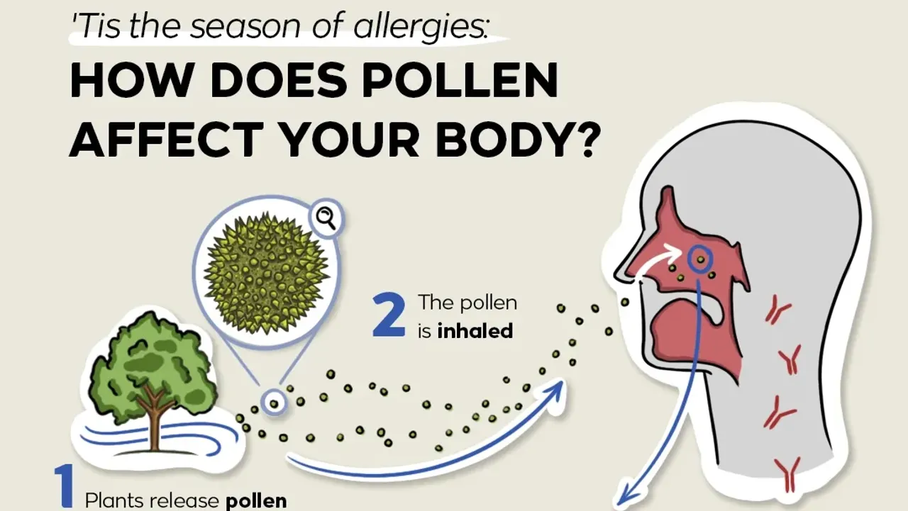 how does pollen pay work