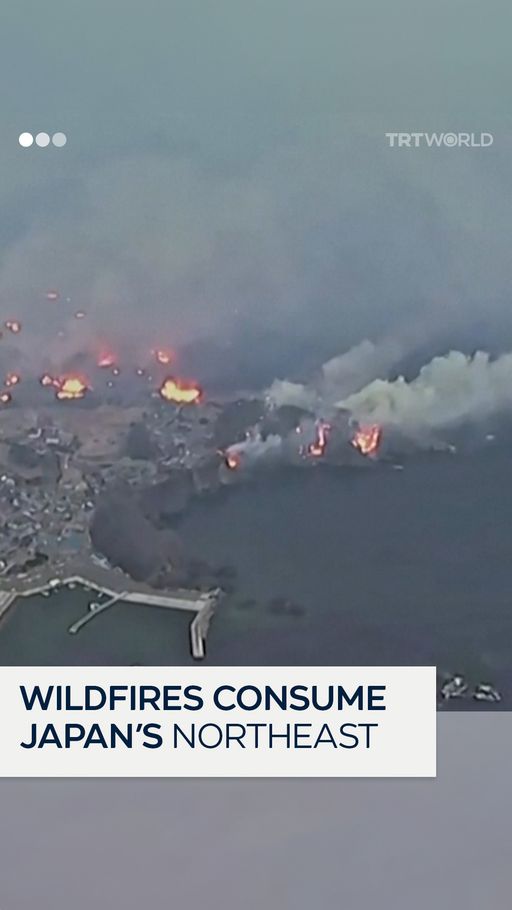 Japan's worst wildfires in over 30 years rage on - TRT World