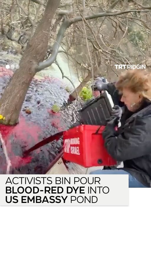 Activists pour blood-red dye to US embassy pond - TRT Pidgin