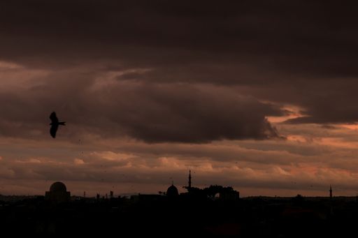 Deadly rain and storms leave 5 killed in Pakistan - TRT World