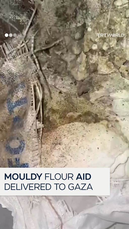 Palestinian family shows mouldy flour being distributed as food aid ...