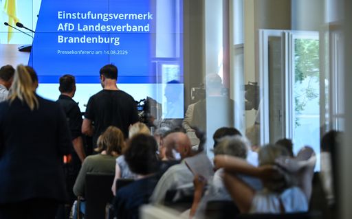 AfD und die Einstufung als rechtsextrem: Nicht bloß Ländersache - TRT ...