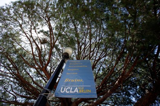 Jaf de manuscrise: un utilizator al unei biblioteci din SUA a înlocuit ...