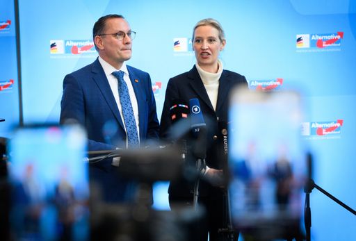 Die AfD nach der Bundestagswahl 2025: Agitator der Spaltung - TRT Deutsch
