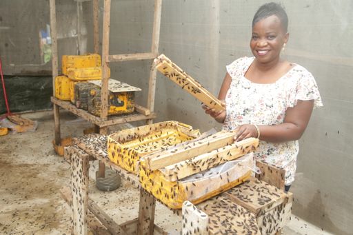 Ufugaji nzi chuma ulivyogeuka lulu kwa Angela Mauto - TRT Afrika