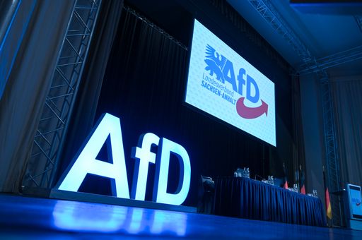 AfD erreicht in Wahlumfrage wieder 25 Prozent - TRT Deutsch