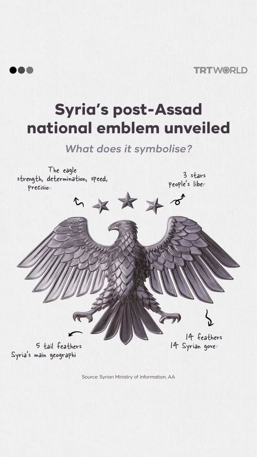 Syria's post-Assad national emblem unveiled - TRT Global